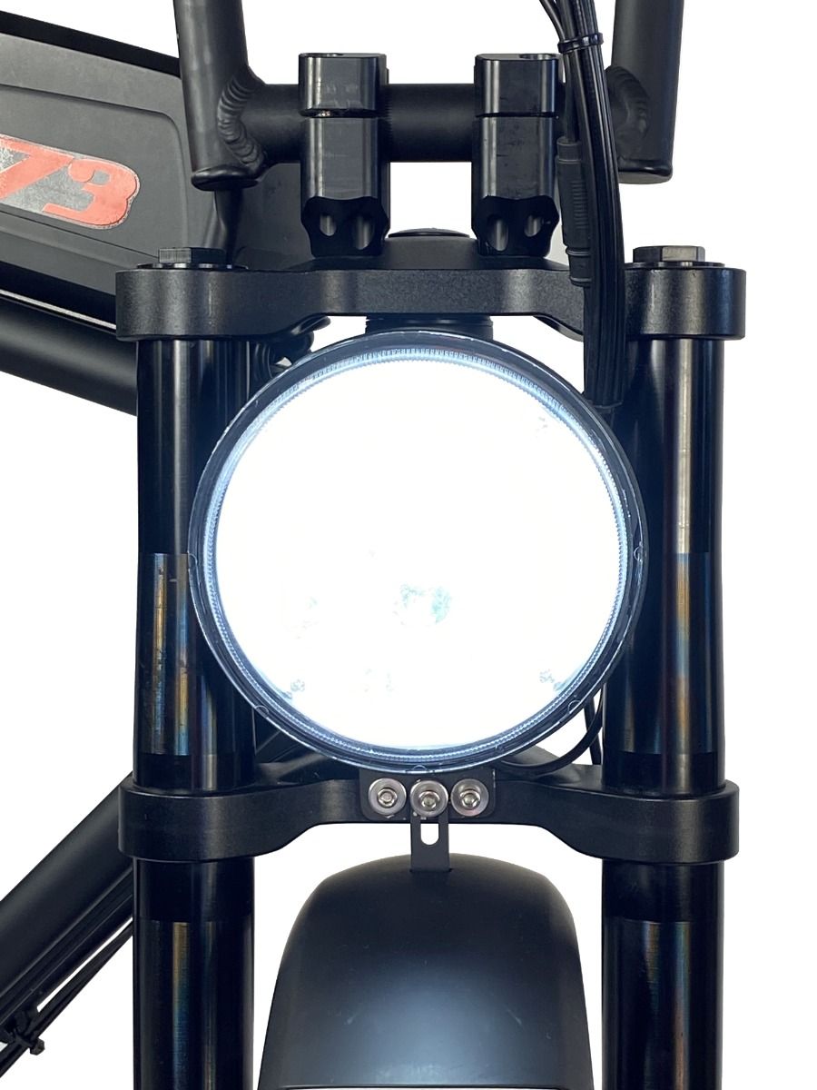 Cruz73 Retro Electric Bike