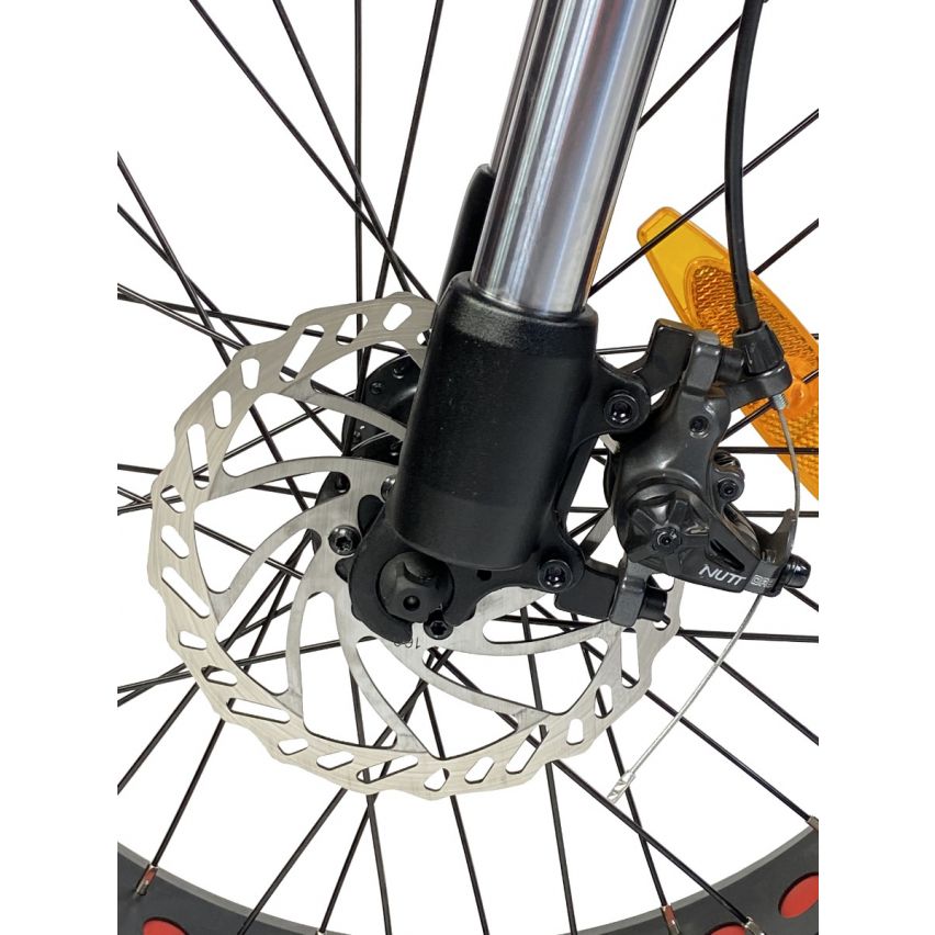 Cruz73 Retro Electric Bike - Pro Version