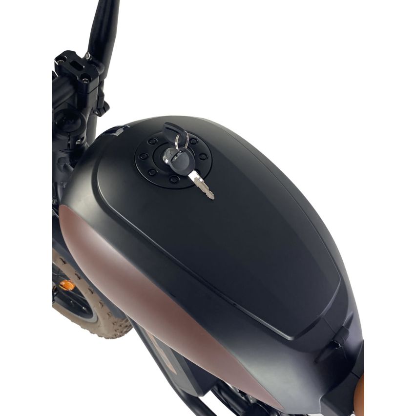 Cruz73 Retro Electric Bike - Mariner Special Edition