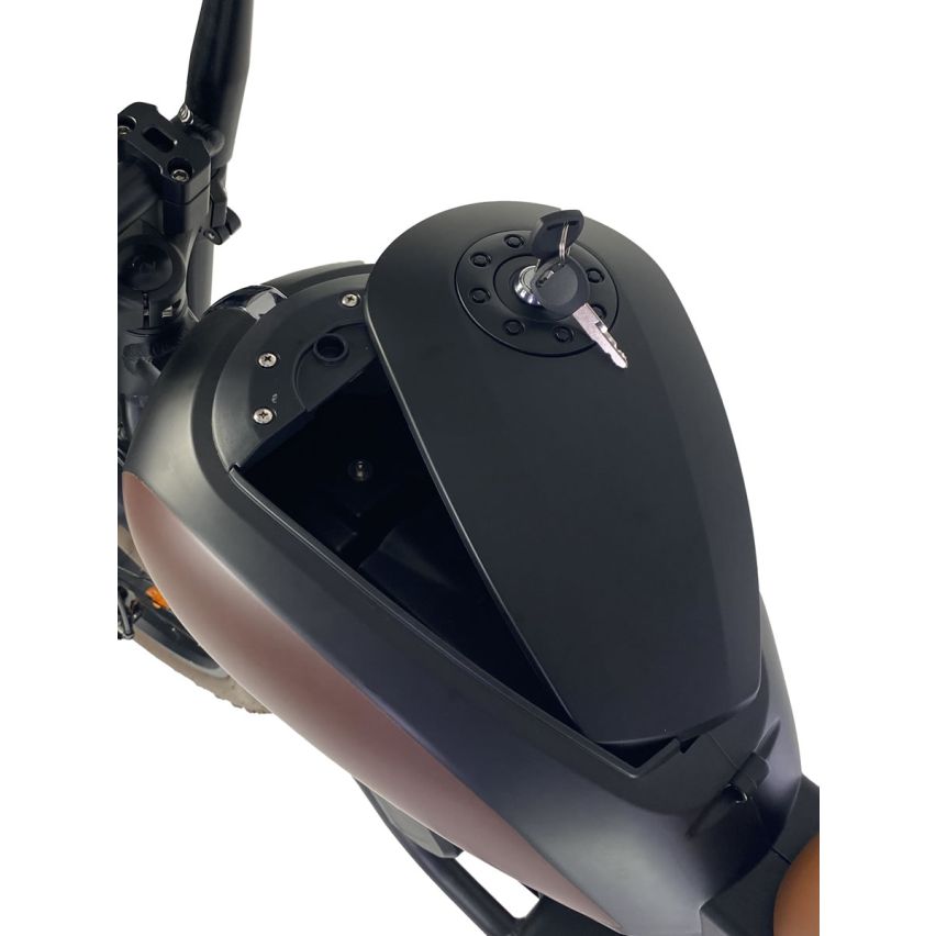 Cruz73 Retro Electric Bike - Mariner Special Edition 250W